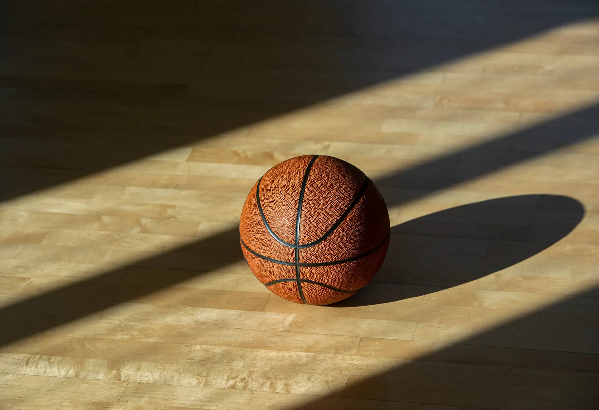 Contact Us – Dolphins Basketball Club